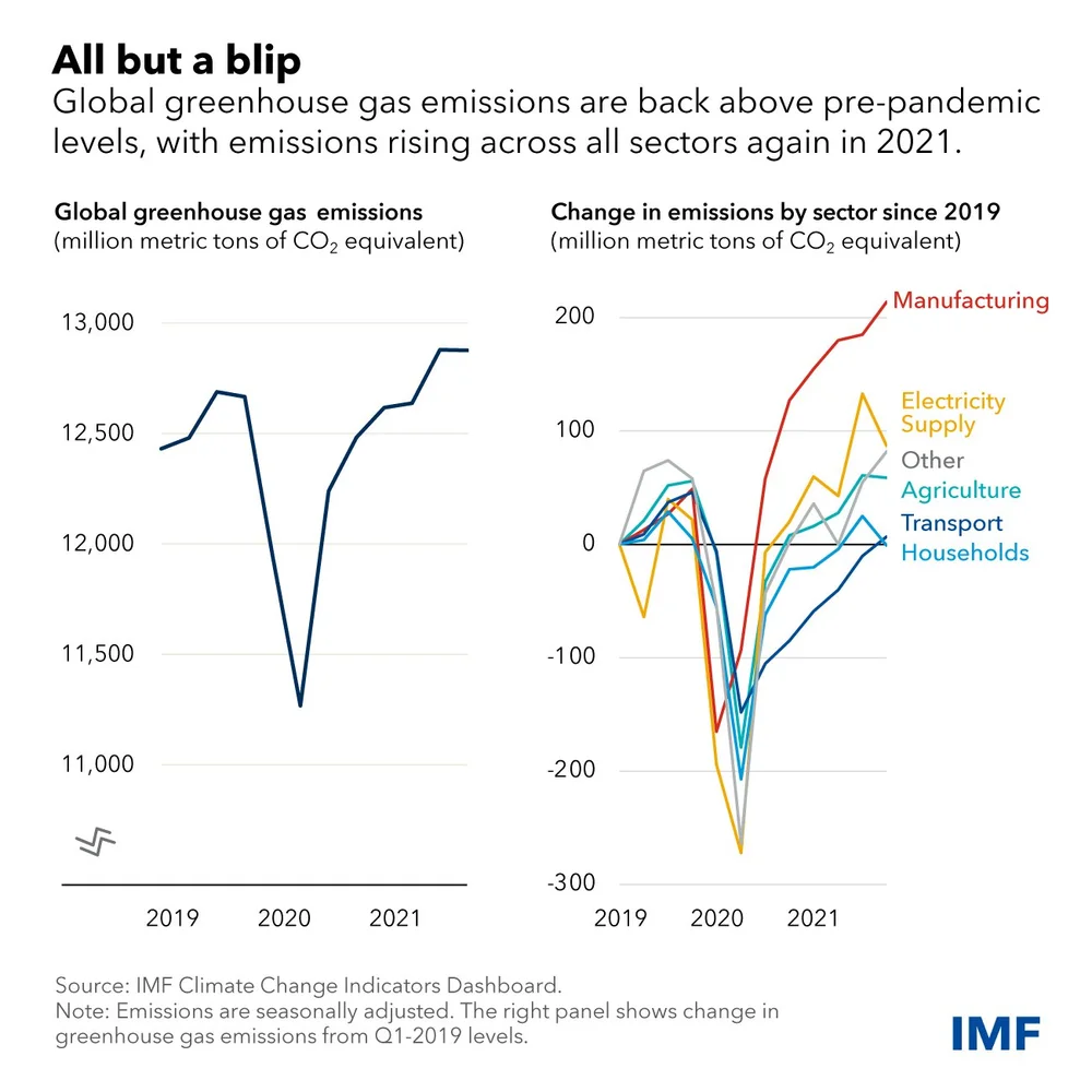 What was the environmental impact of lockdown? — ESGmark