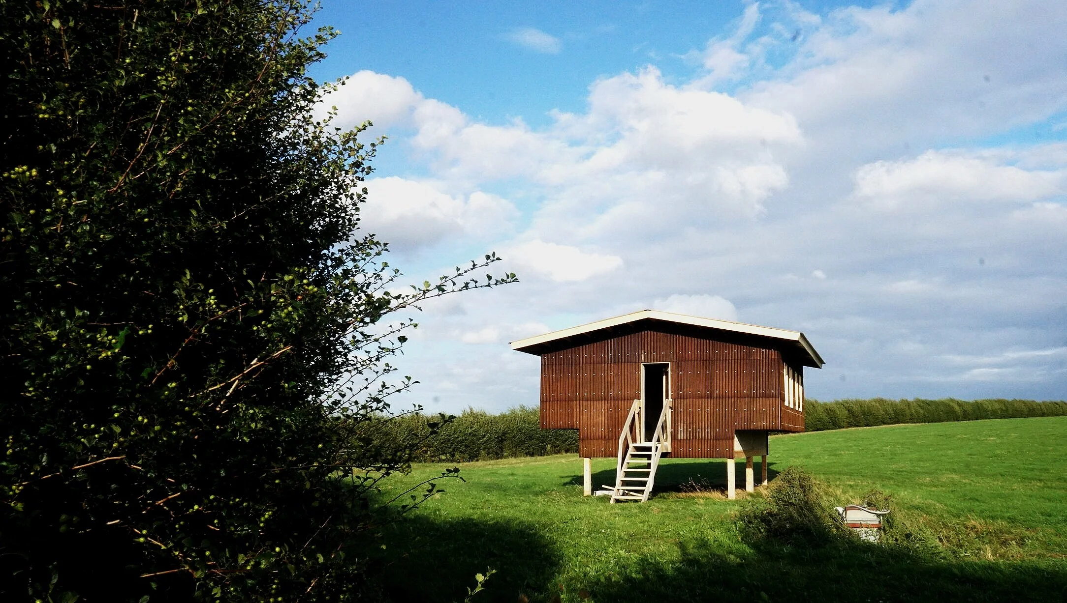 Margent Farm