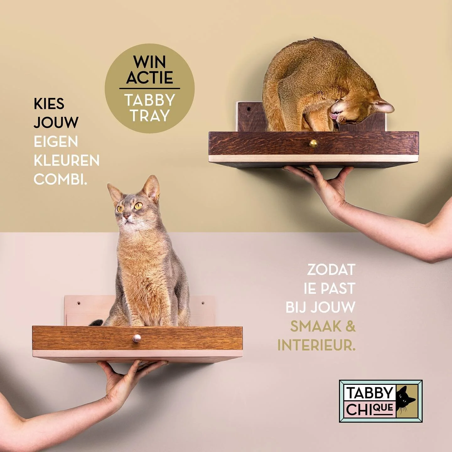 Tabby Chique | vintage (katten)meubels