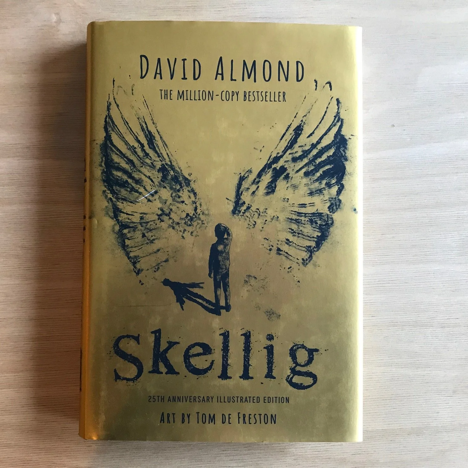 Skellig - David Almond — Phlox Books
