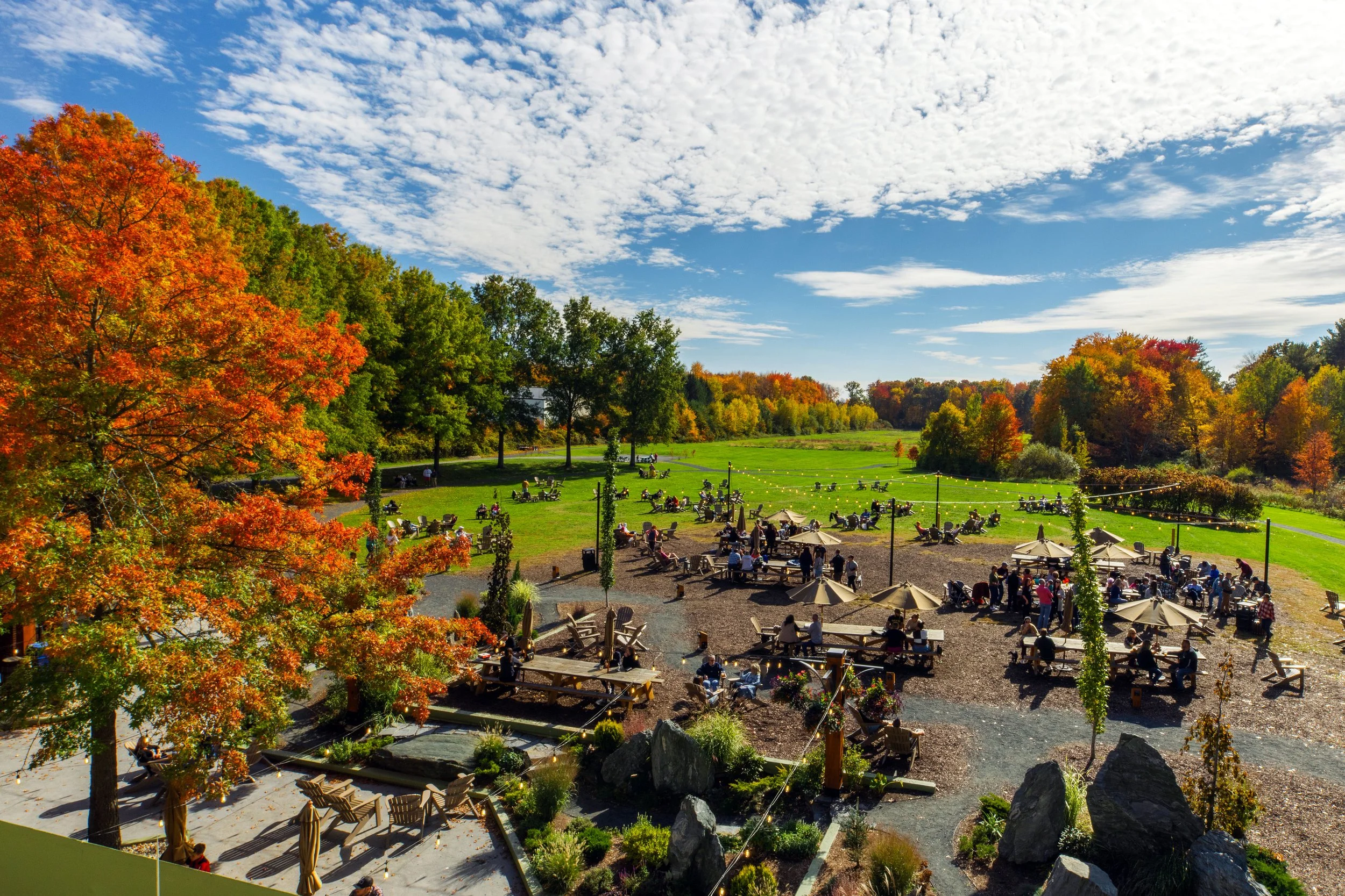 Tree House Brewing Company