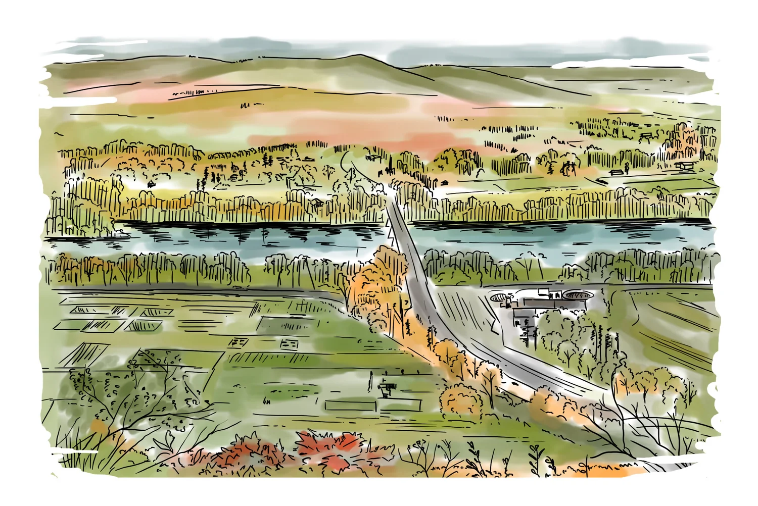 Visiting Tree House Deerfield — Tree House Brewing Company