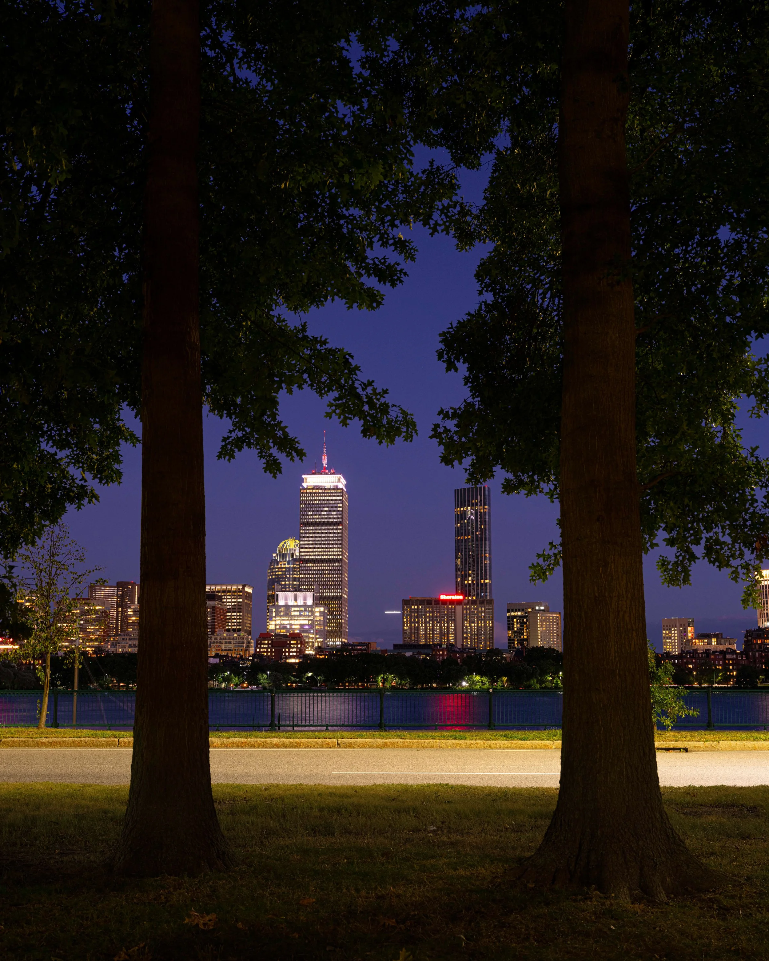 Visiting Tree House at the Prudential Center — Tree House Brewing Company
