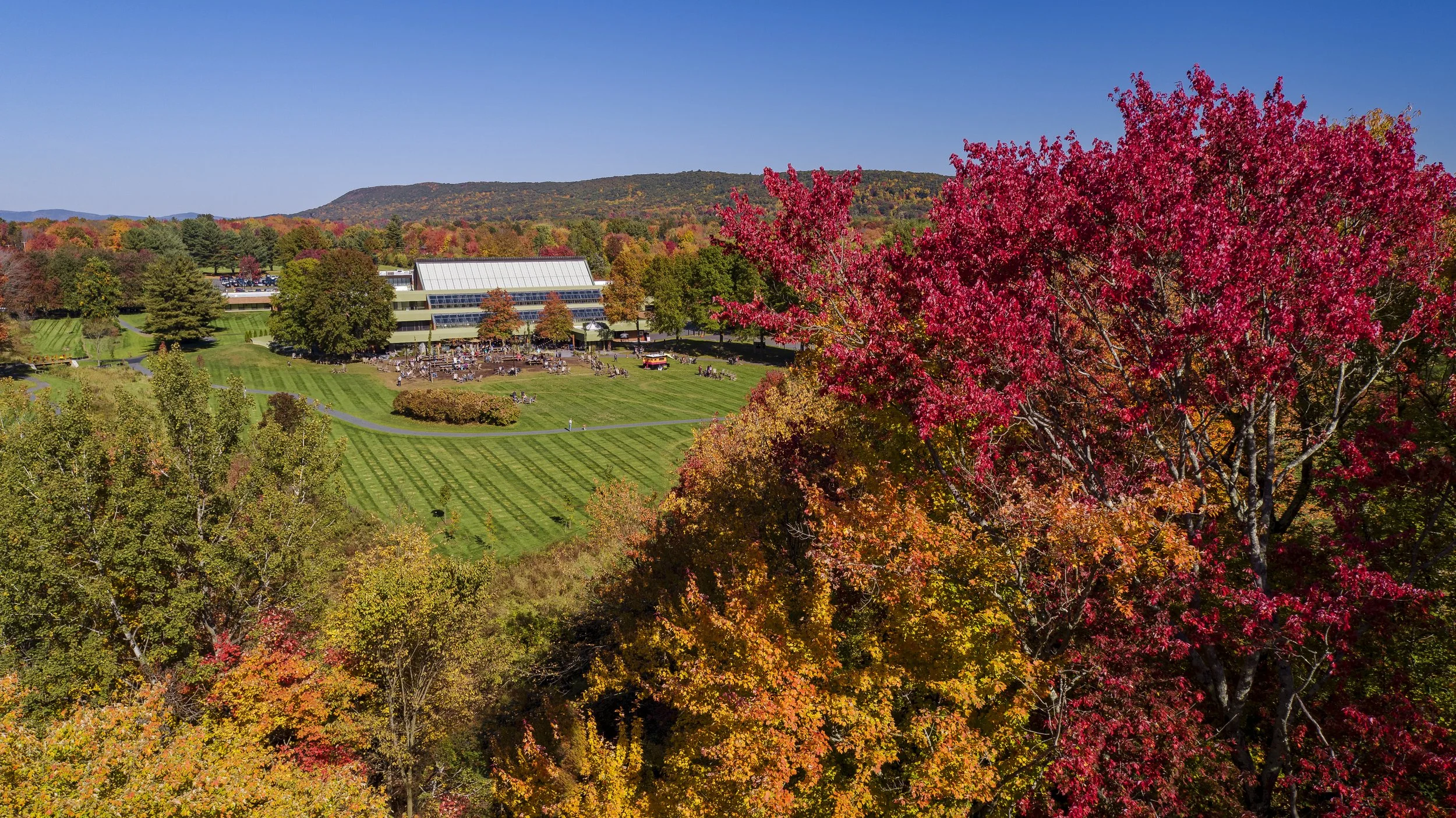 Tree House Live Music & Events — Tree House Brewing Company