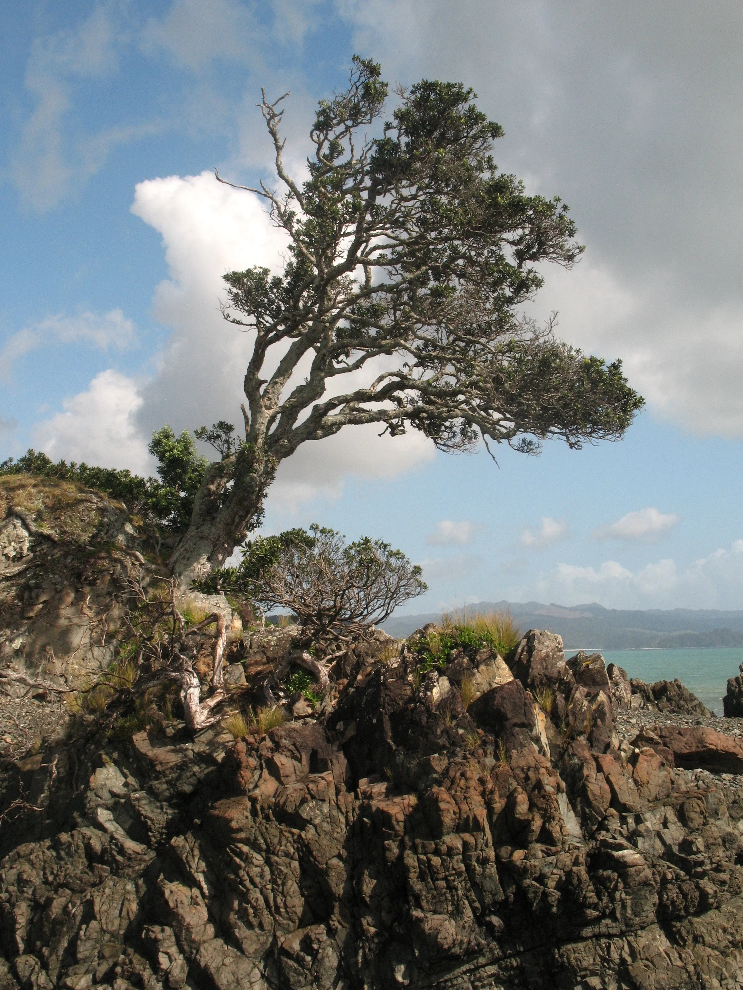 Hanging On — Consilience