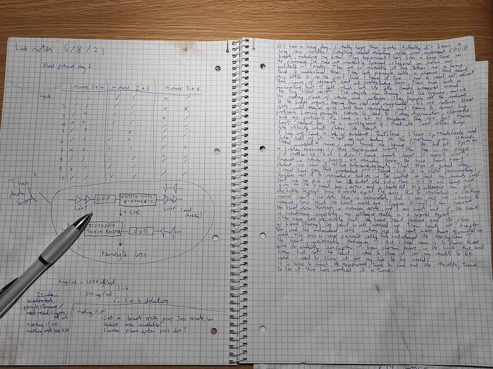 Time - a visual poem — Consilience