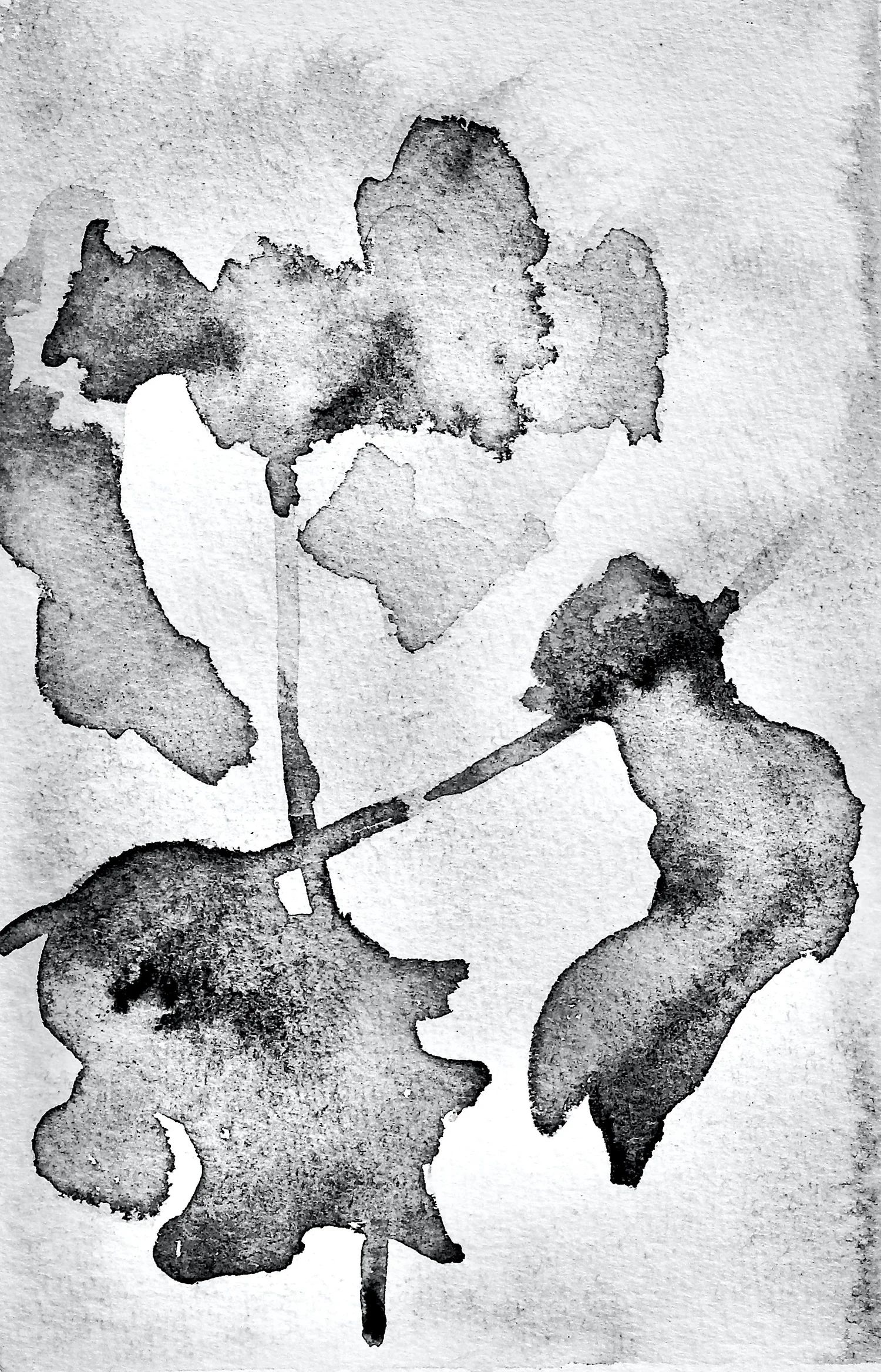 Parasites in Transit — Consilience