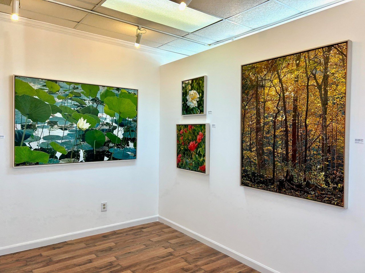 Fairfield Performing Arts Studio — Experience Fairfield CT