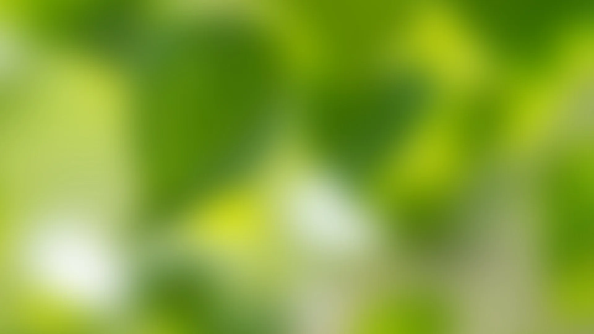 Lisa Carter Author | Publishers Weekly Bestselling Author