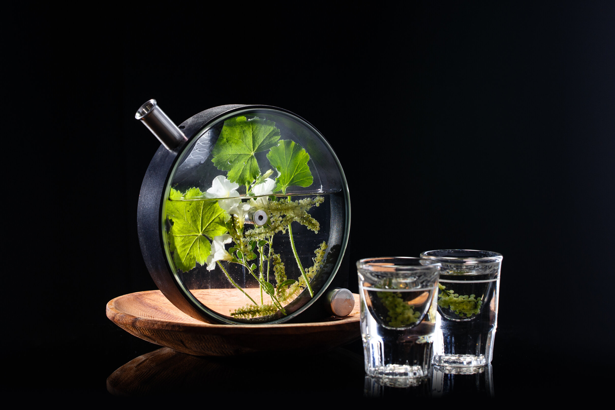 Bar Consultancy — COCKTAIL PROFESSOR // Bar Consultancy, Hospitality ...