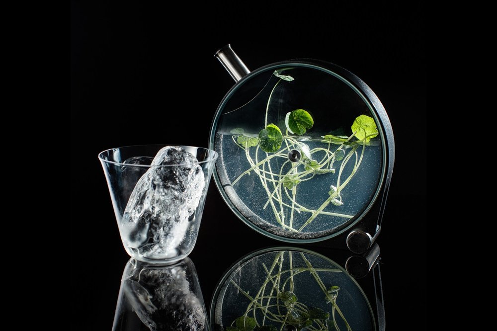 Cocktail Consulting & Bar Consultancy — COCKTAIL PROFESSOR