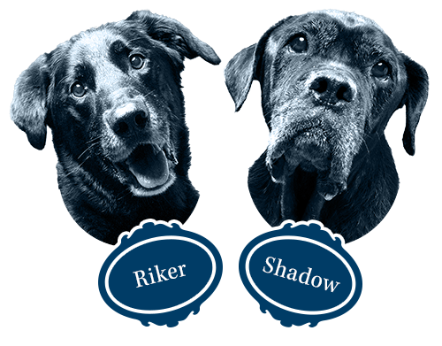 Synergy Pets | Synergy Pets