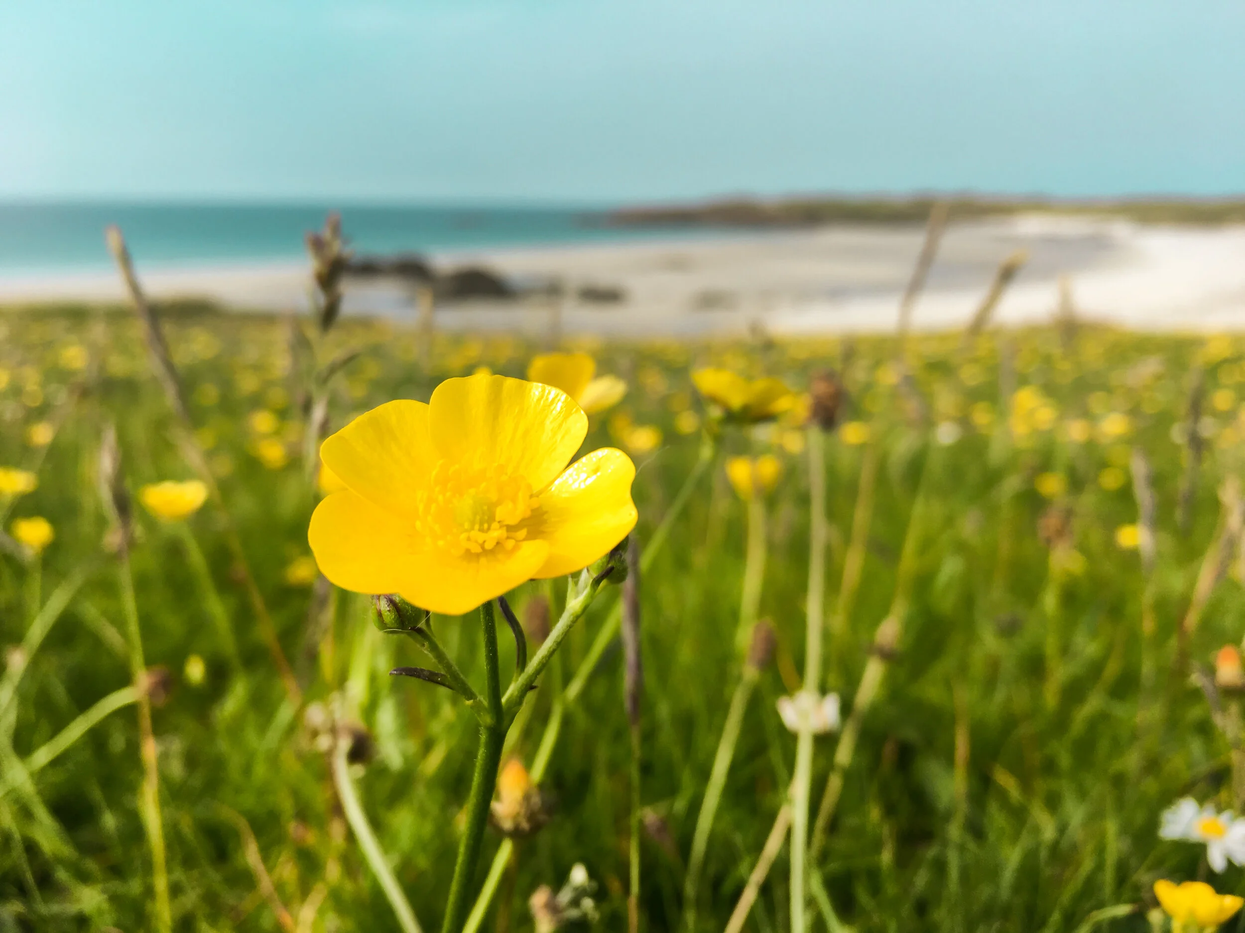 Spring holiday on the Isle of Tiree — VisitTiree