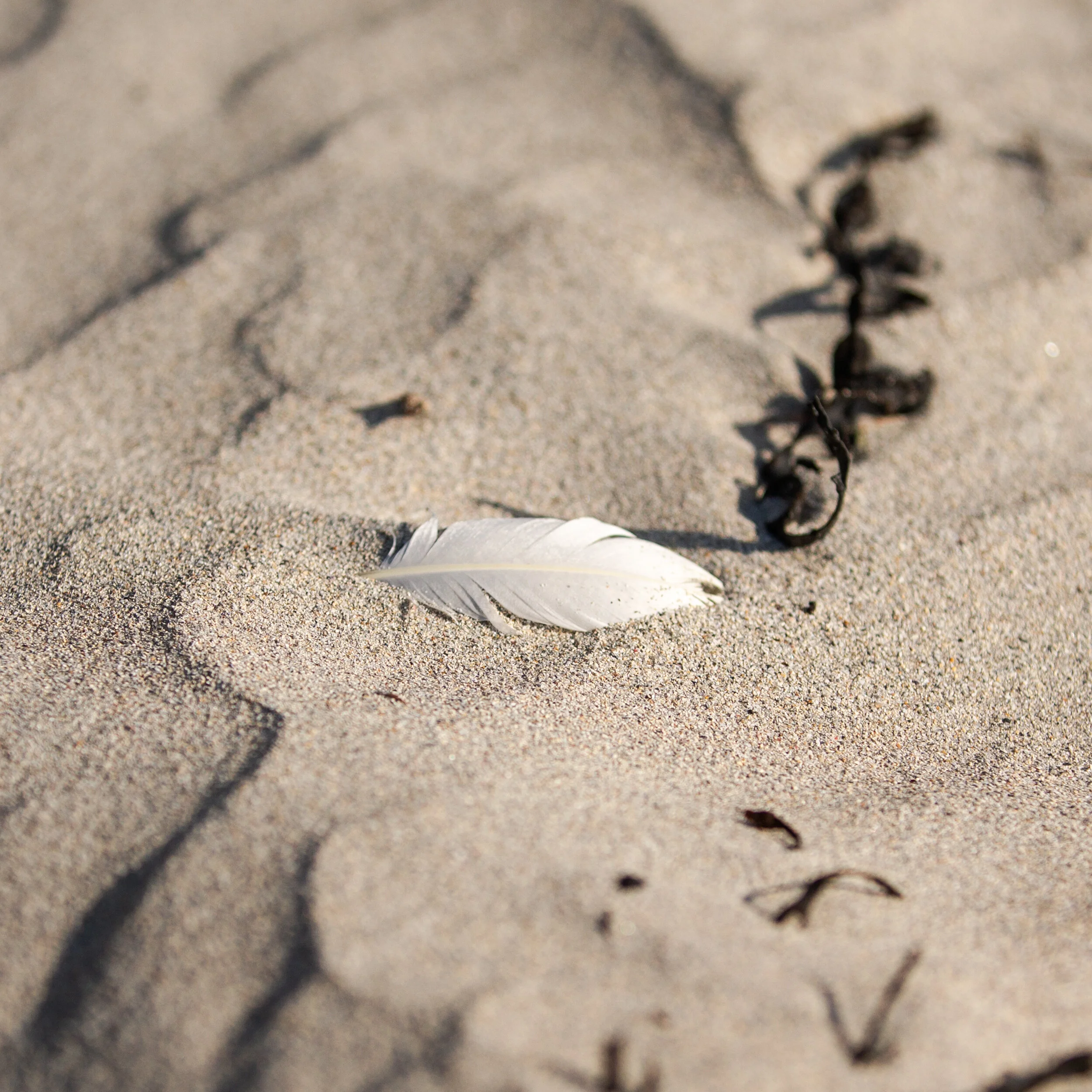Spring holiday on the Isle of Tiree — VisitTiree
