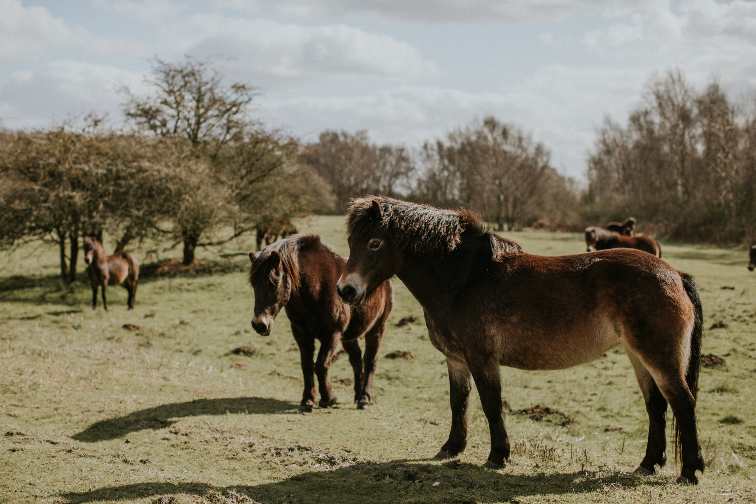 Sawcliffe Manor Country House, Cottages & Spa - Luxury Bed & Breakfast ...