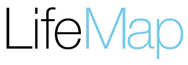 LifeMap — The Art of Understanding