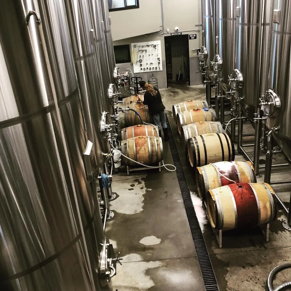 SOLID GROUND BREWING