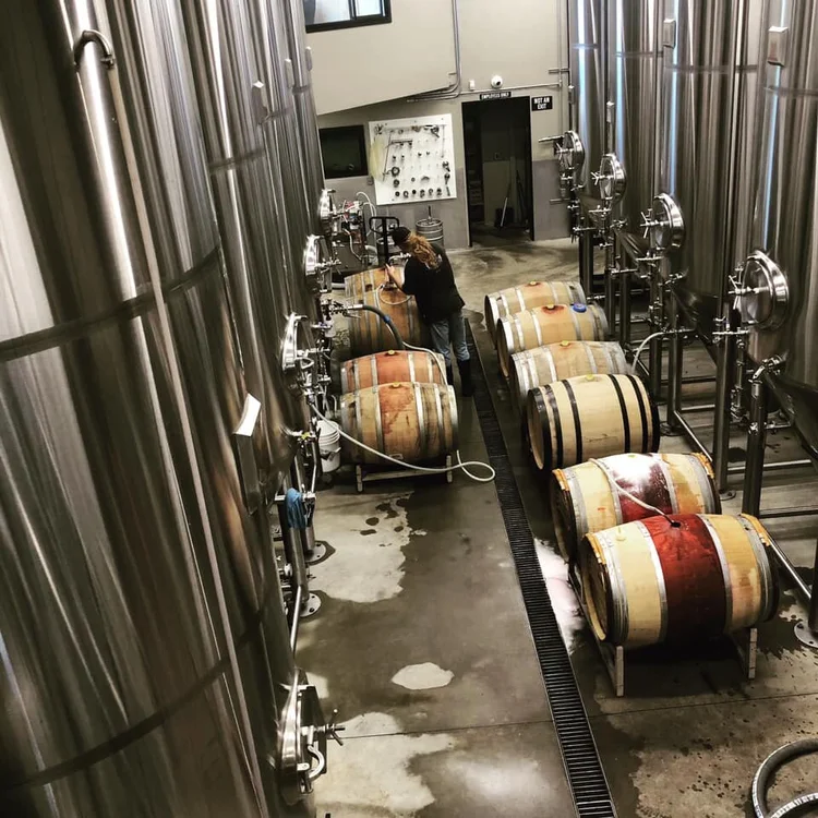 SOLID GROUND BREWING