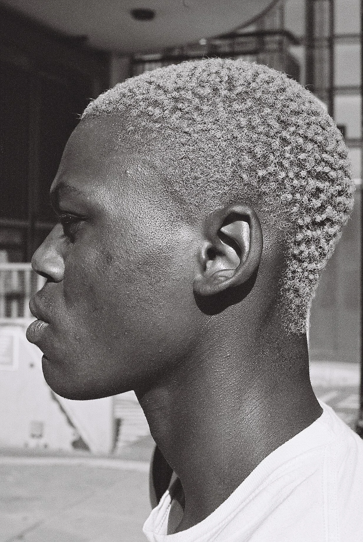 Angelo Dominic Sesto