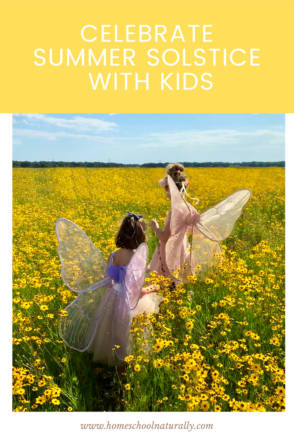 Celebrate Summer Solstice with Kids — Homeschool Naturally