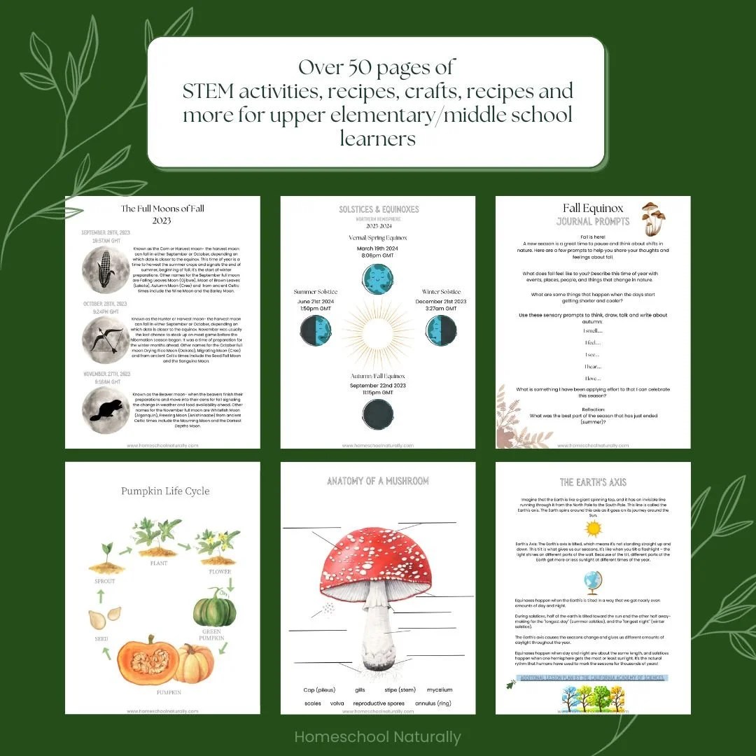 Fall Equinox Activity Book for kids — Homeschool Naturally