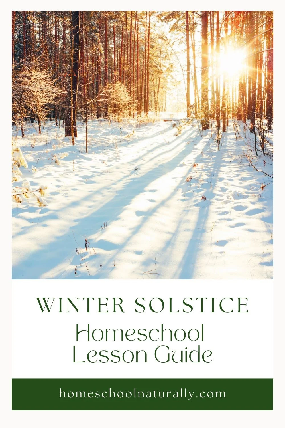 Winter Solstice Homeschool Lesson — Homeschool Naturally
