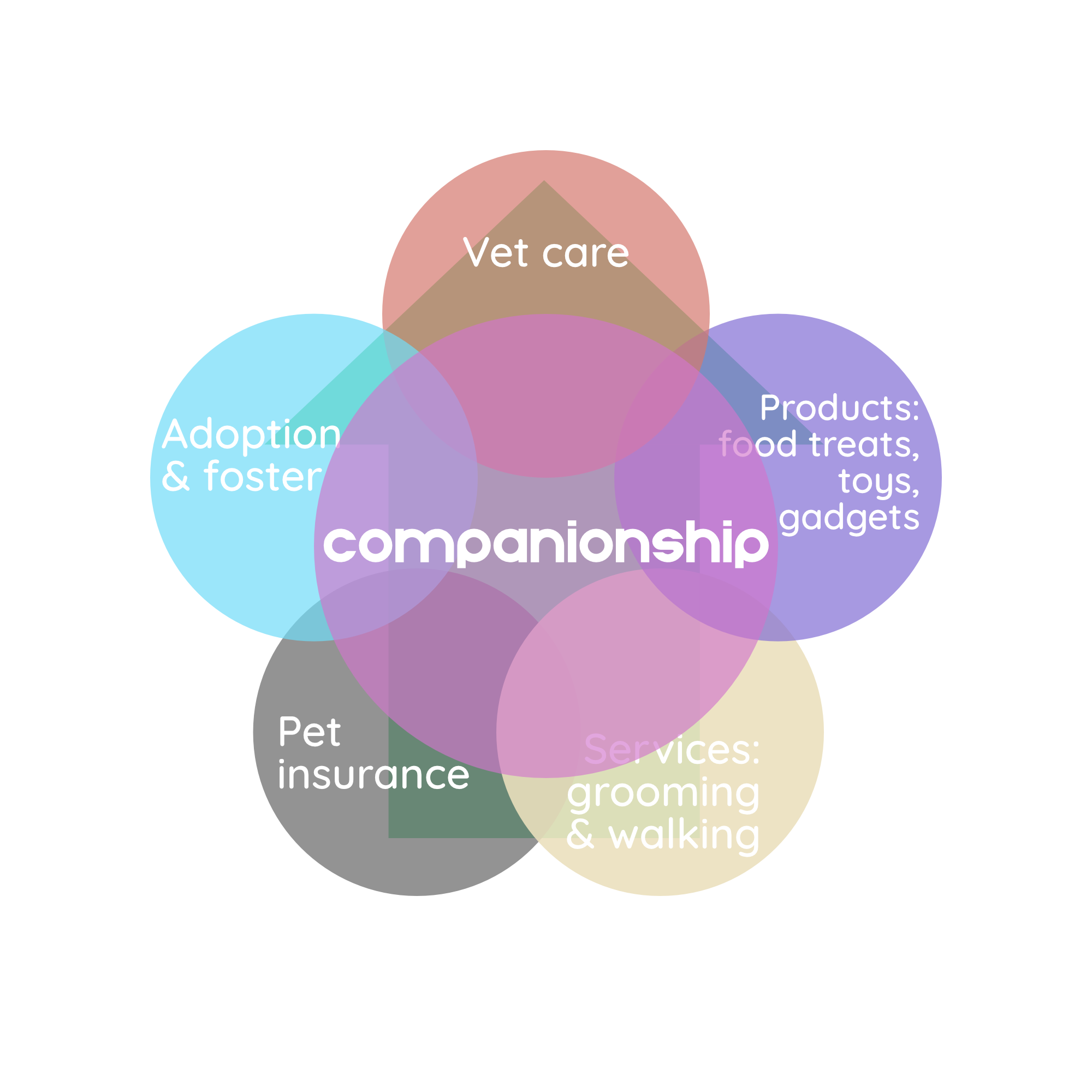 What does the need for human companionship look like during a global ...