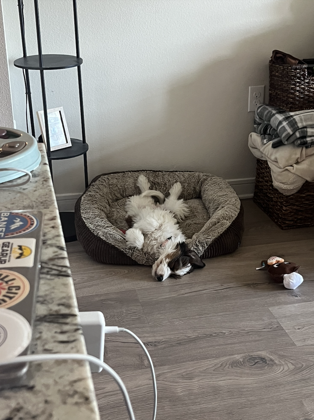 You Ever Eat A Bag Of Sun Chips For Dinner? — Focus Fitness Coaching