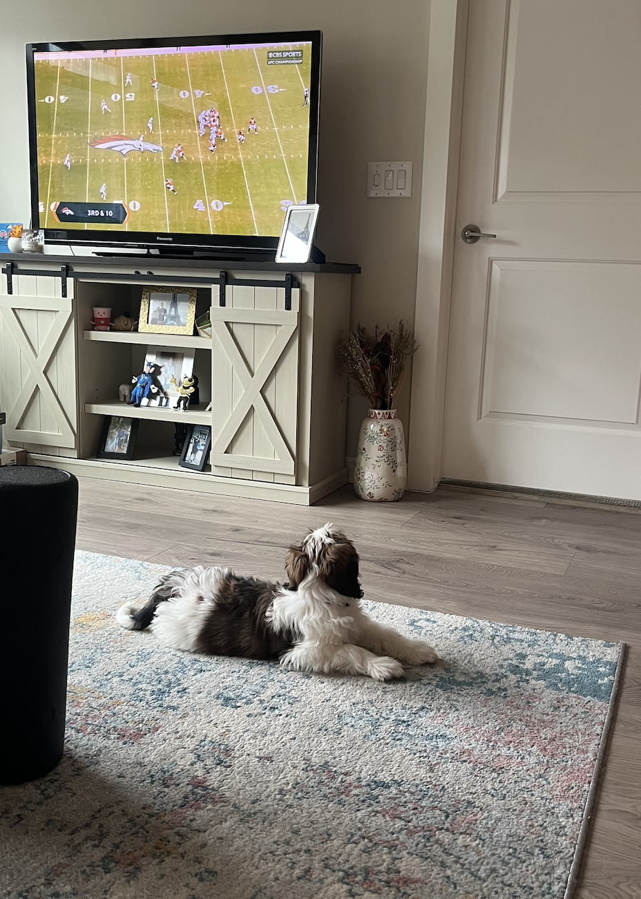 You Ever Eat A Bag Of Sun Chips For Dinner? — Focus Fitness Coaching