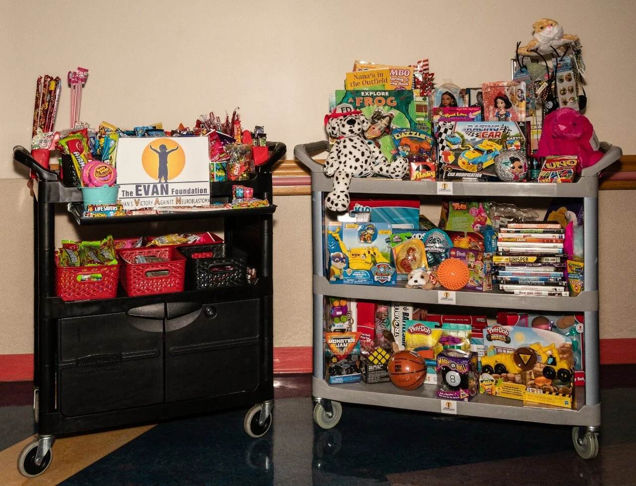 Treats & Treasures Carts — The EVAN Foundation