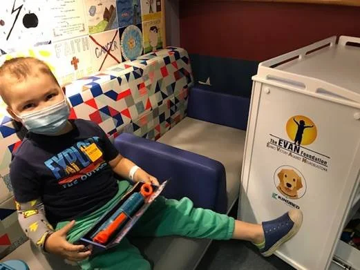 Treats & Treasures Carts — The EVAN Foundation