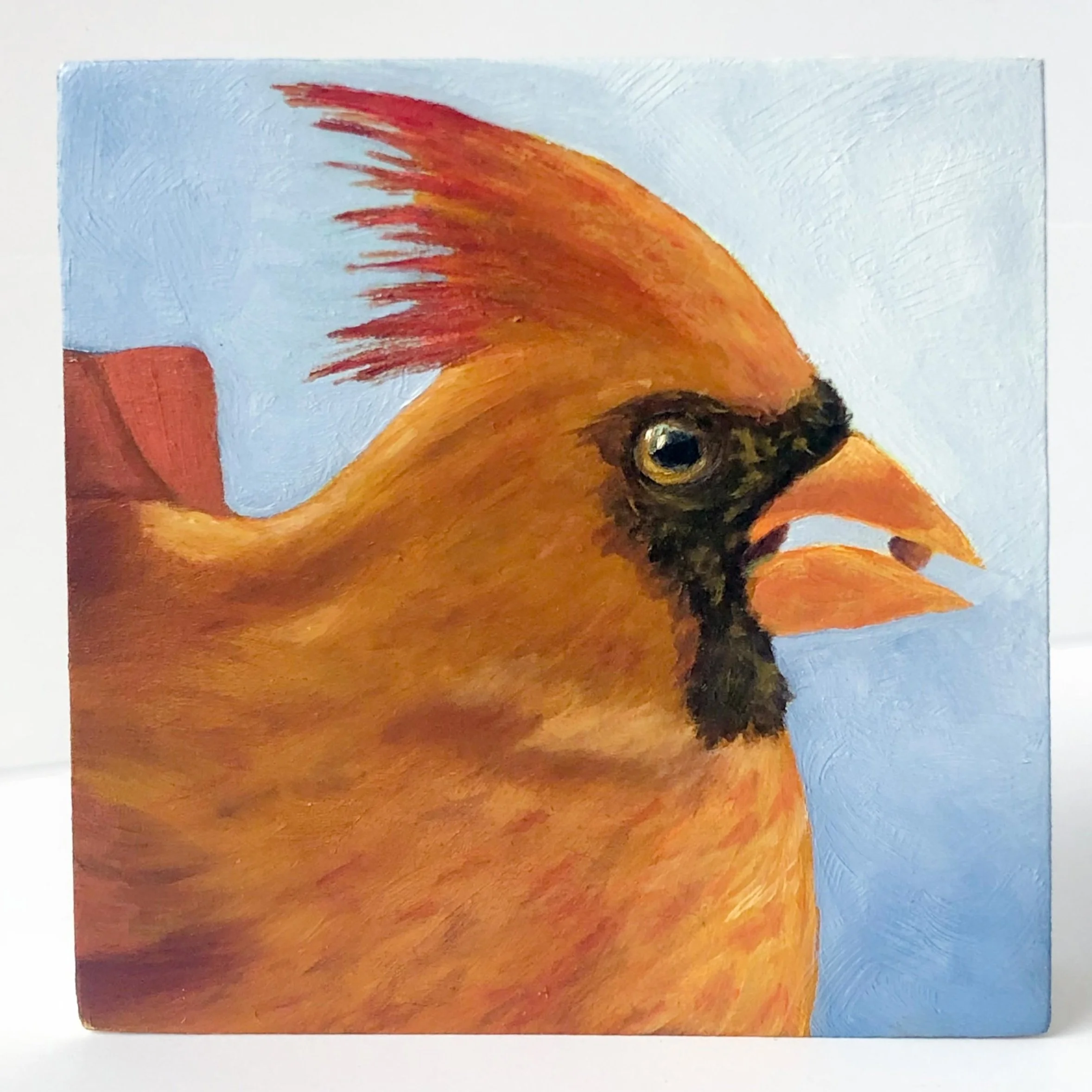 Shop — Catherine Purdy Art