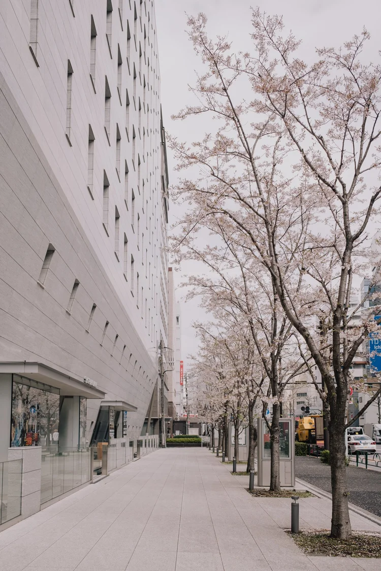 Traveling in Japan | Basic Travel Guide