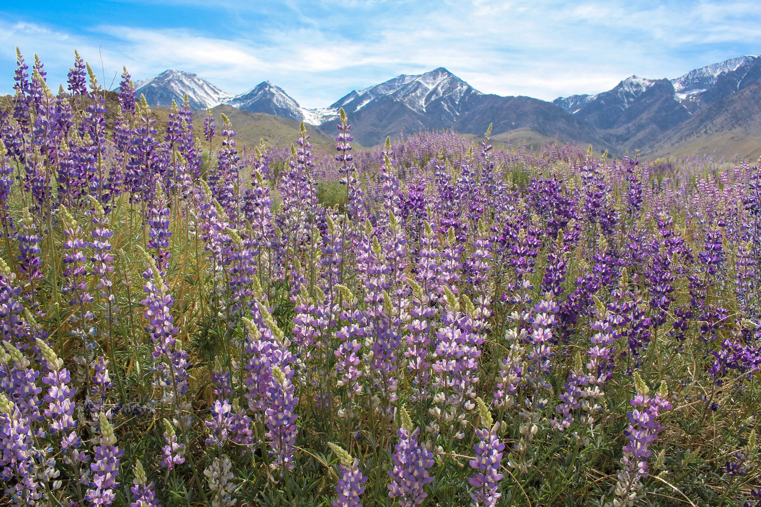 Mammoth Hospital's Community Wellness & Performance Program