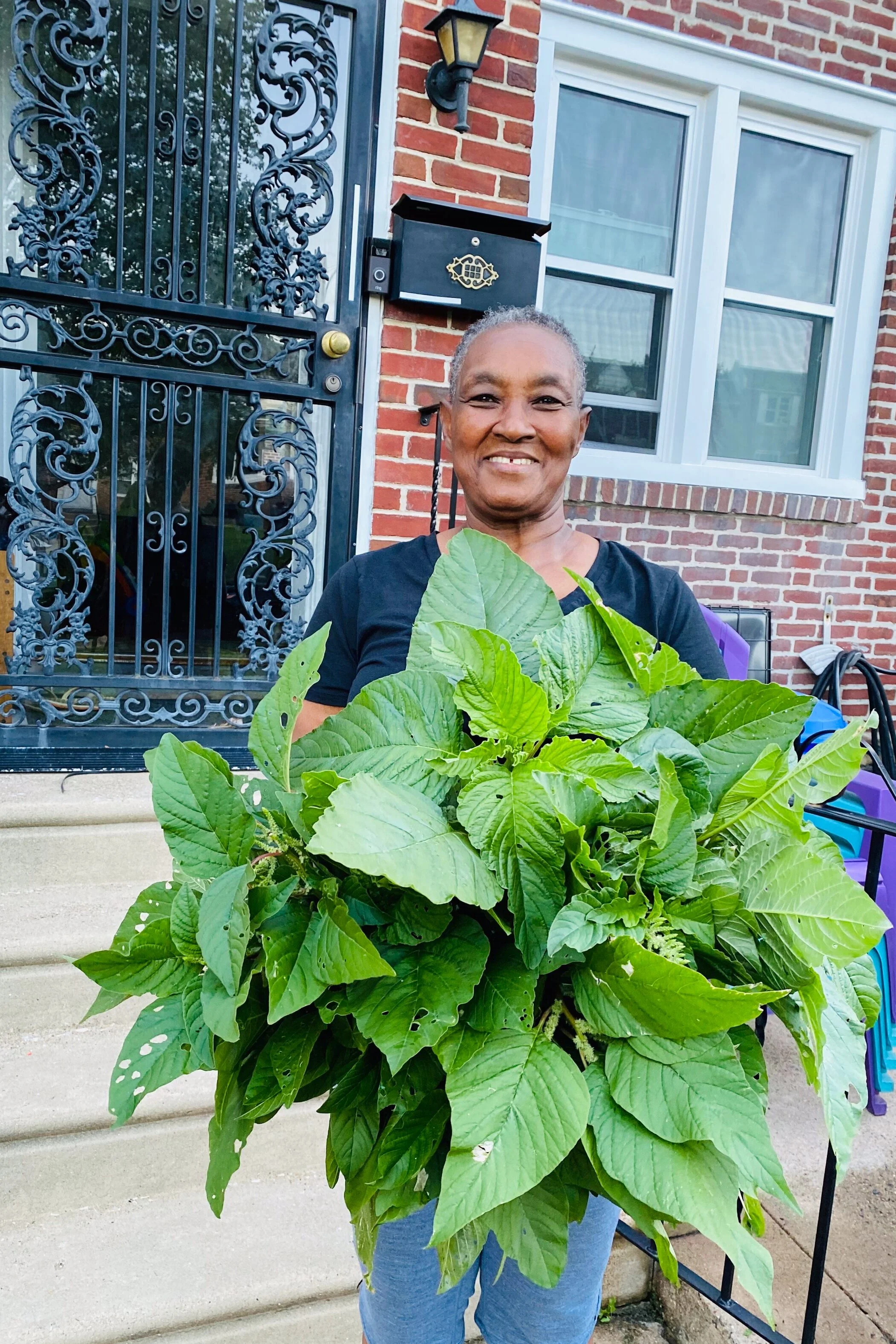 Callaloo: Caribbean “Greens” Revealed — Callaloo: Caribbean “Greens ...