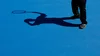 Bill Wing Tennis Academy