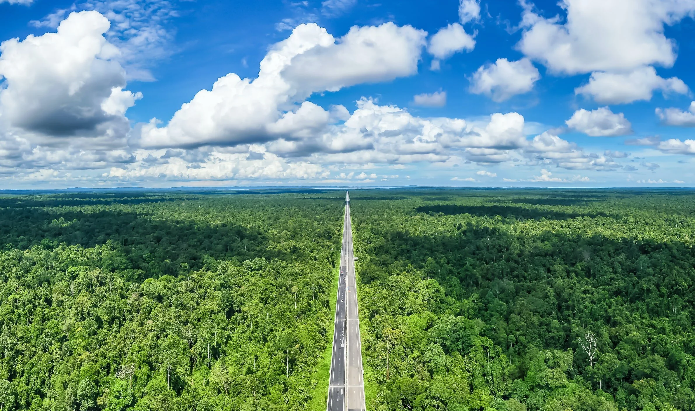 Ulu Temburong National Park: Travel Guide To Brunei's Green Jewel ...