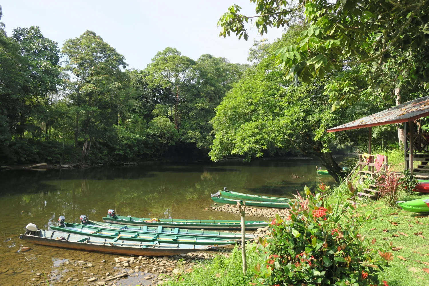 Ulu Temburong National Park: Travel Guide To Brunei's Green Jewel ...