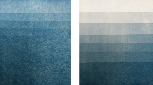Exploring Cyanotype: In My Head and on The Paper — Christine Shannon Aaron