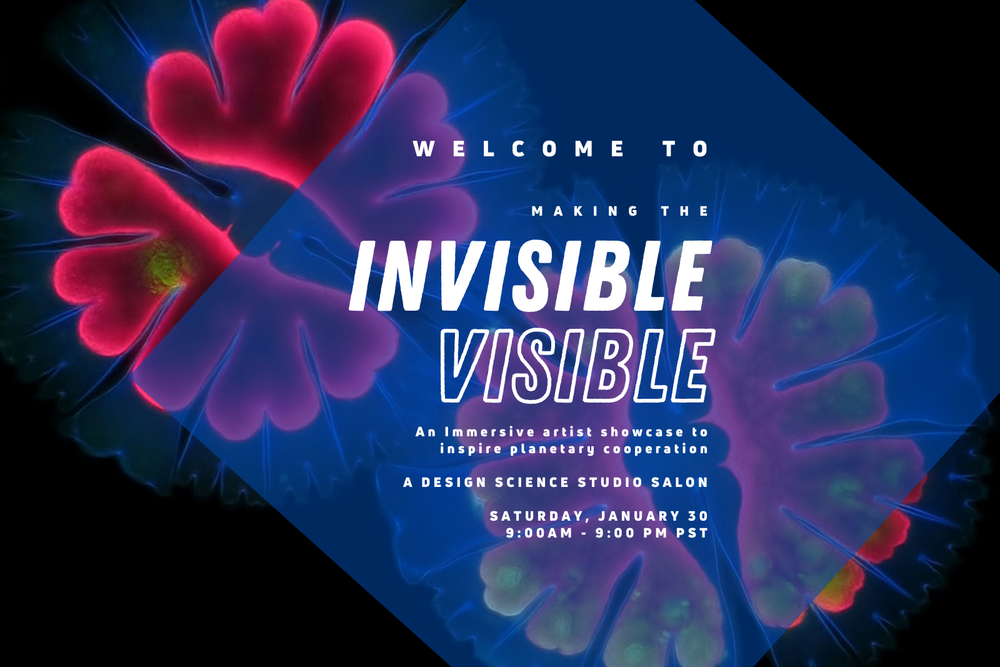 Making The Invisible Visible — Design Science Studio