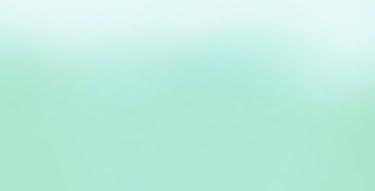 Design Science Studio