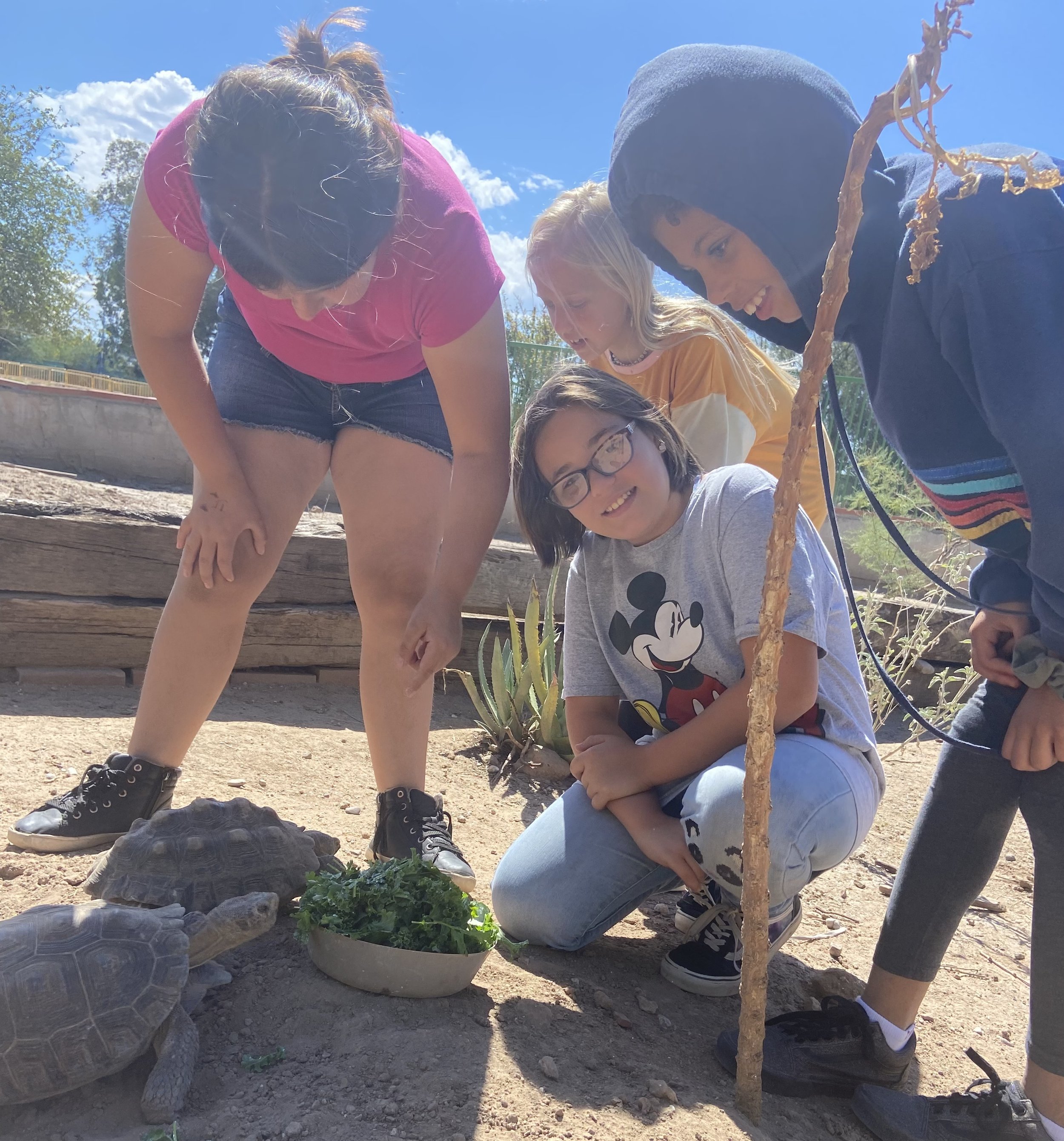 Enroll — Da Vinci Tree Academy