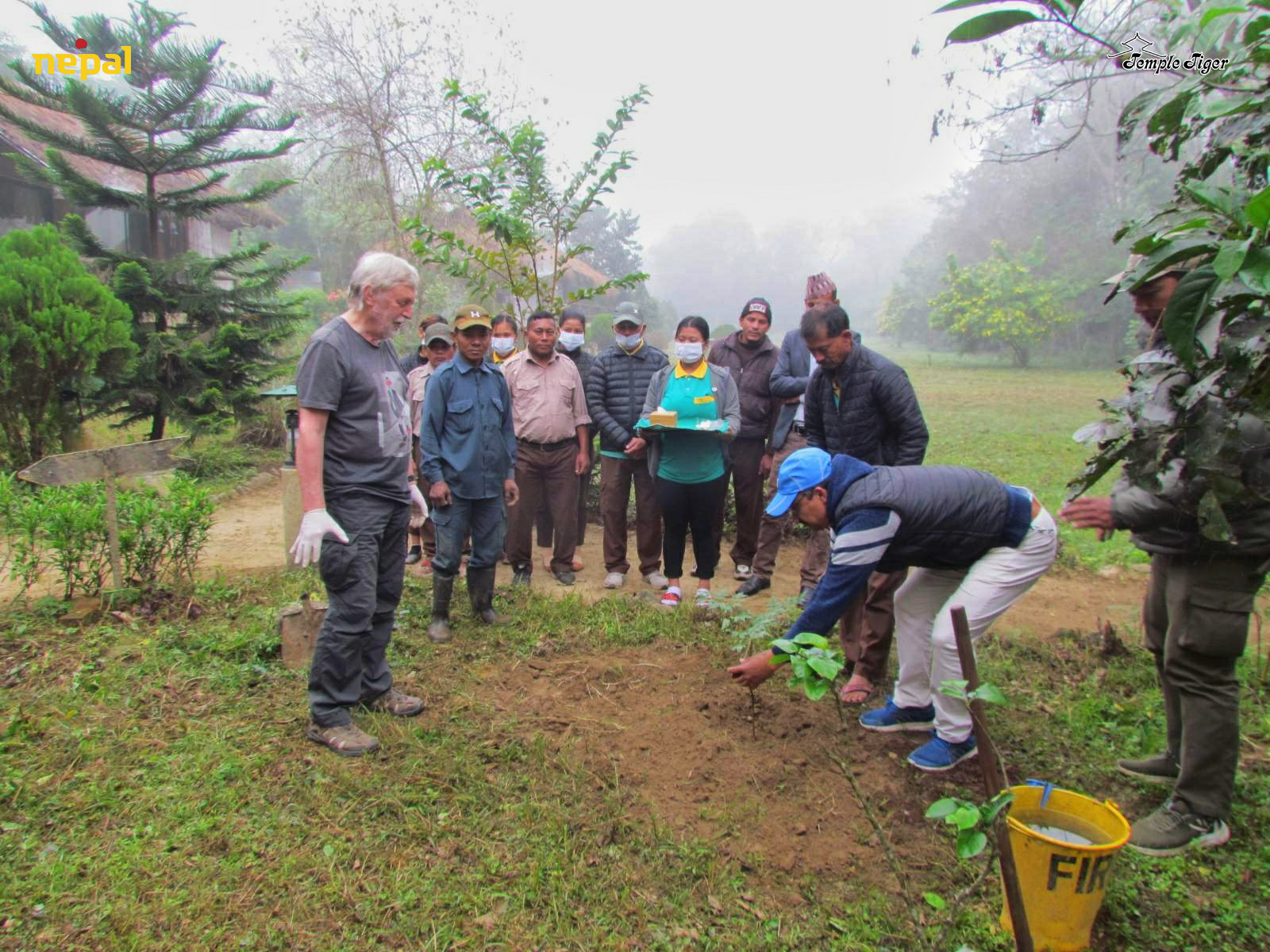 Tree Plantation program conducted at GReen Jungle Resort — Green Jungle ...