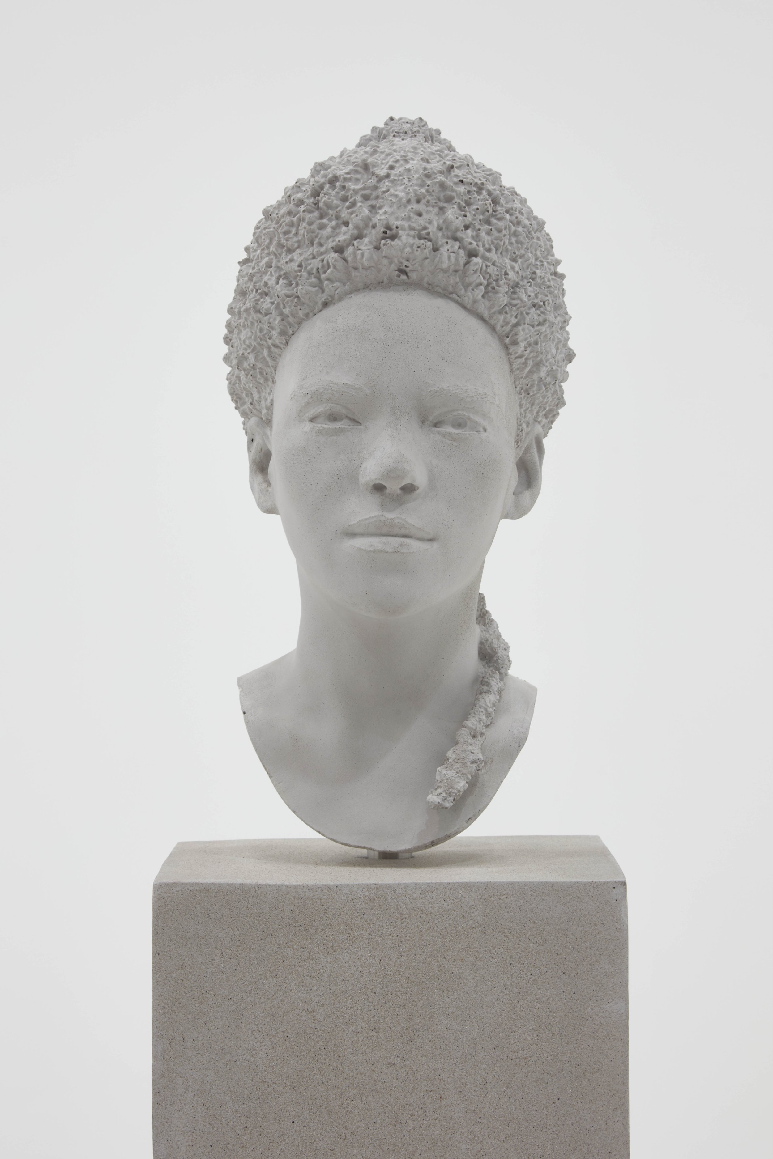 Maré Noga — 100 JOURNEYS