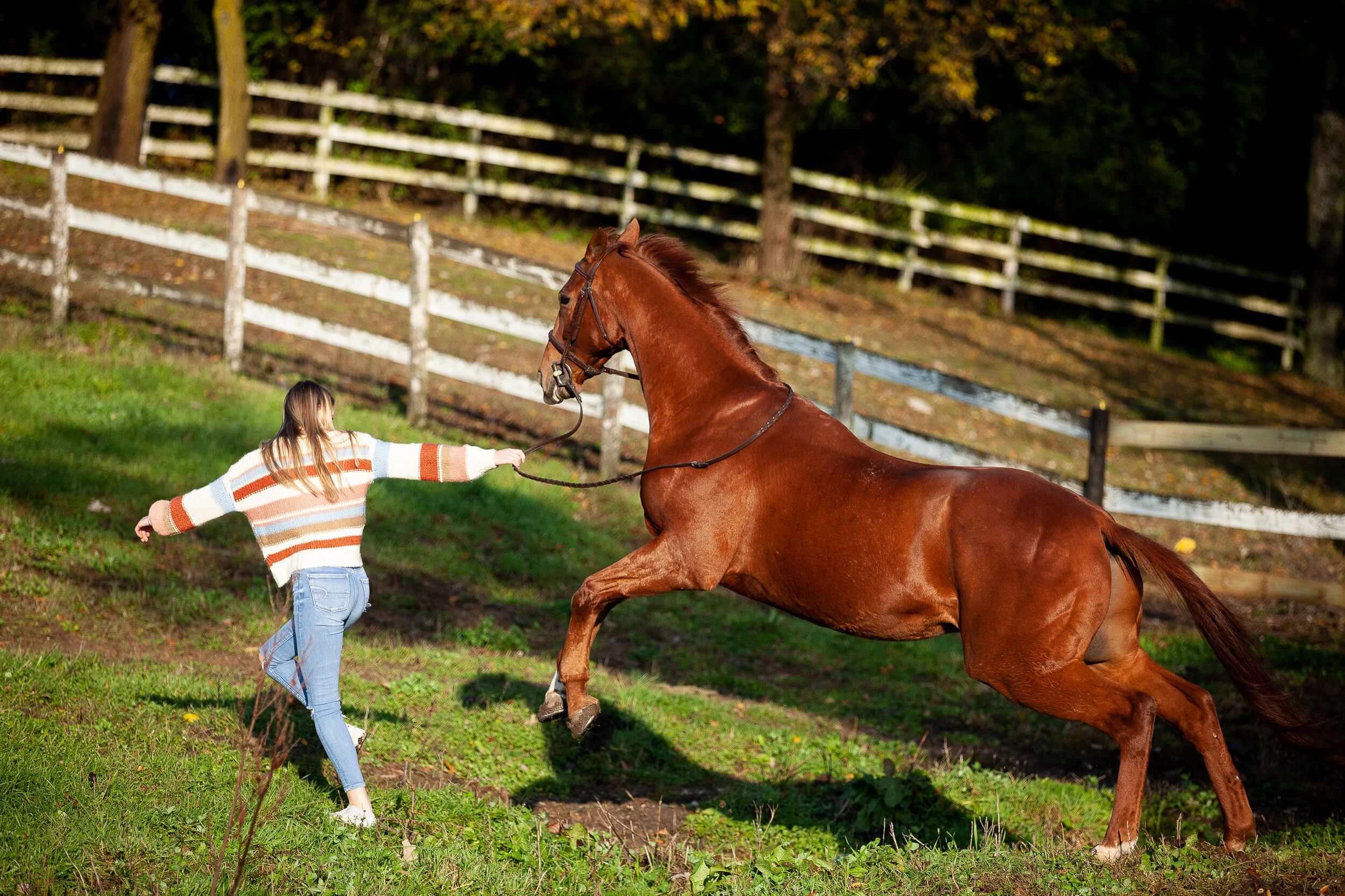 Sports — Liz Benedetto