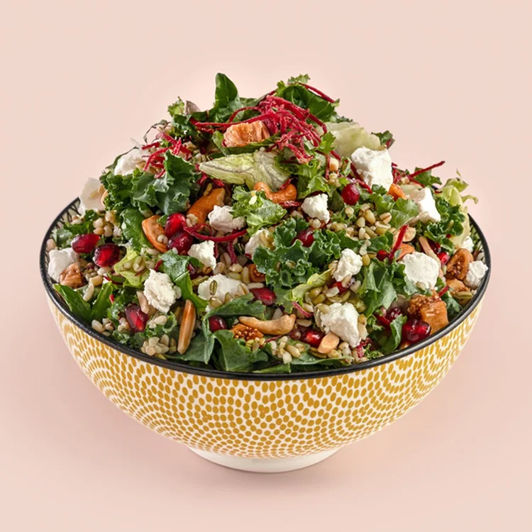 MENU | SALATA