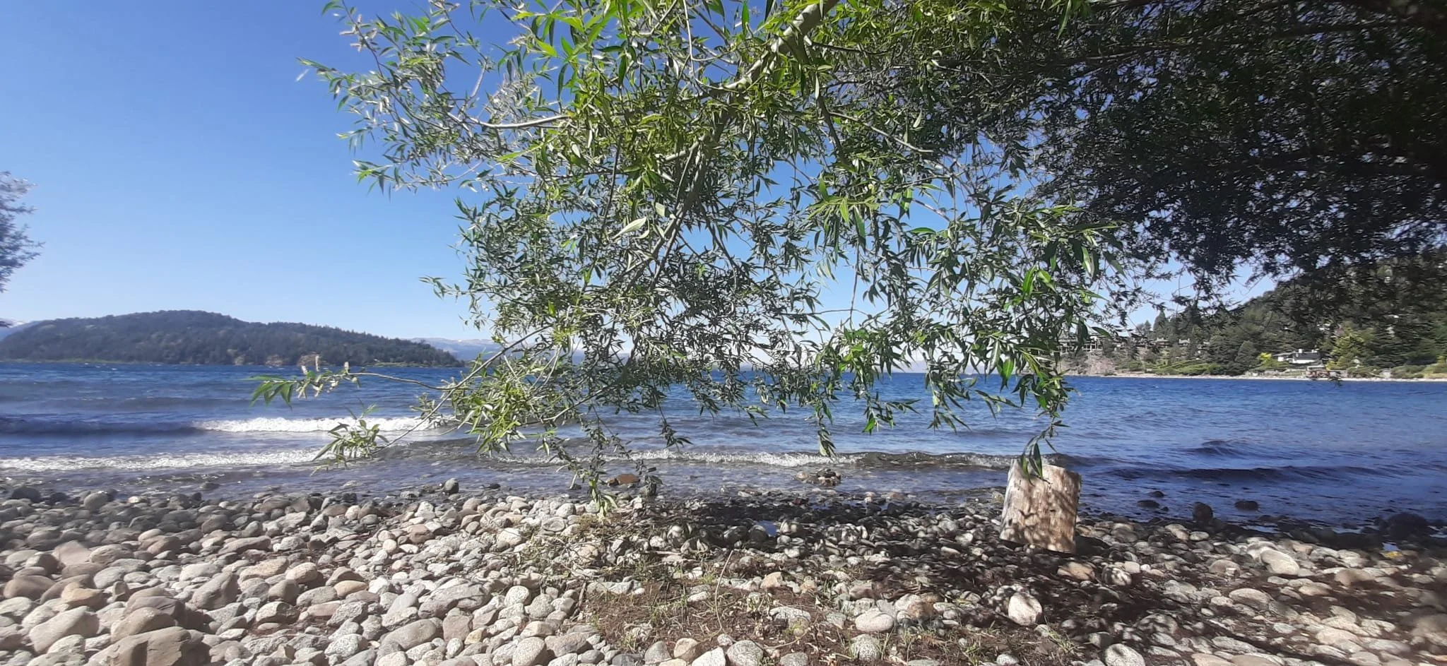 Bariloche — Jeremy Shaverin | Musician and Lecturer