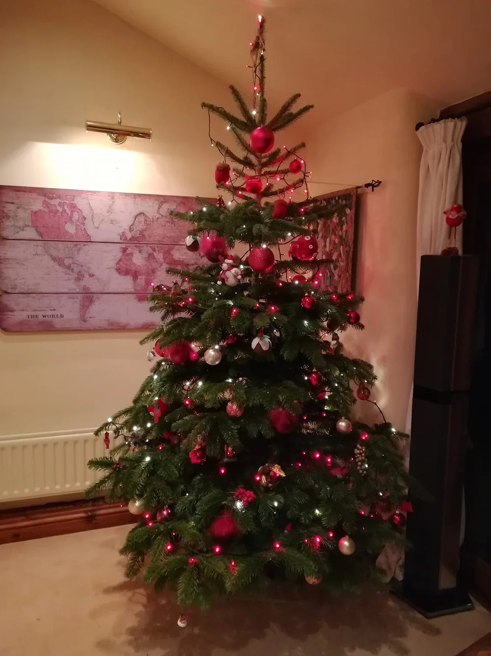 Our Trees — Snowbird Christmas Tree Farm