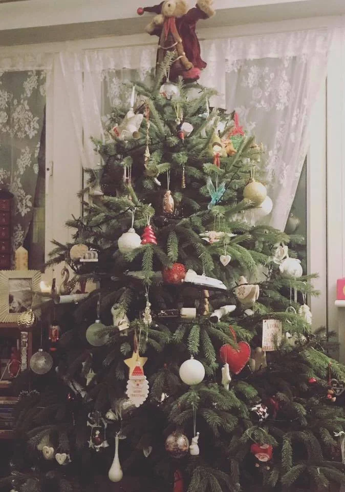 Our Trees — Snowbird Christmas Tree Farm