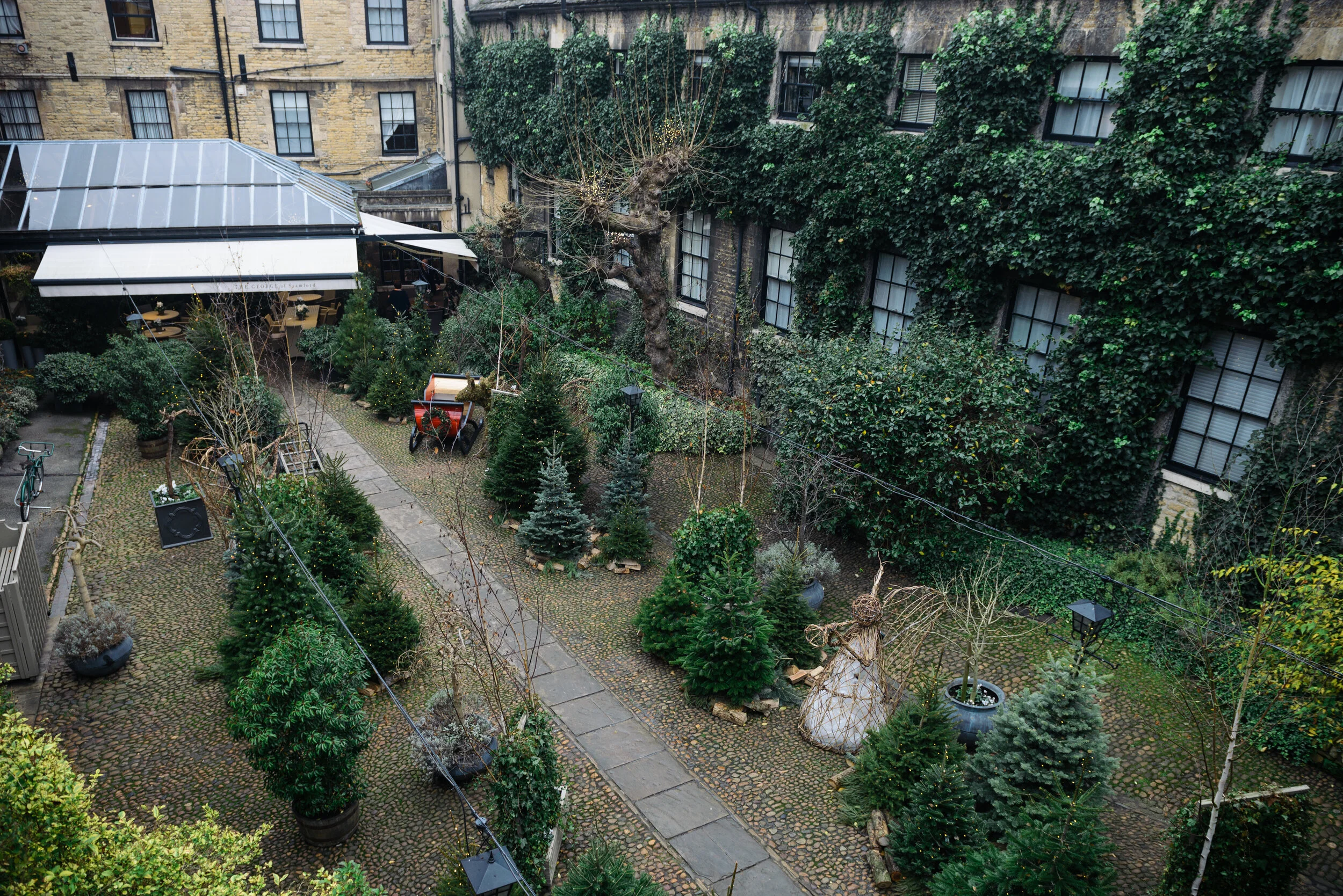 Commercial — Snowbird Christmas Tree Farm